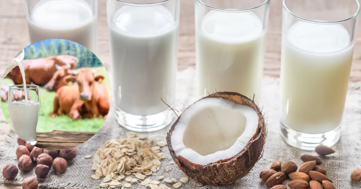 Laptele – Tipuri și Sfaturi pentru Alegerea Corectă