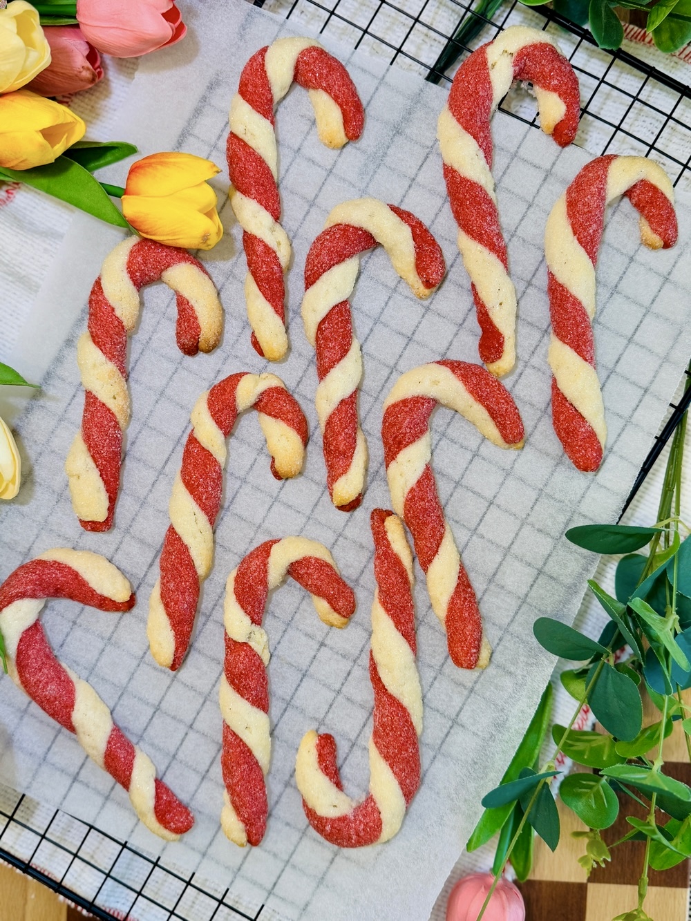 Fursecuri Ciubuc perfecte pentru copii și nu numai